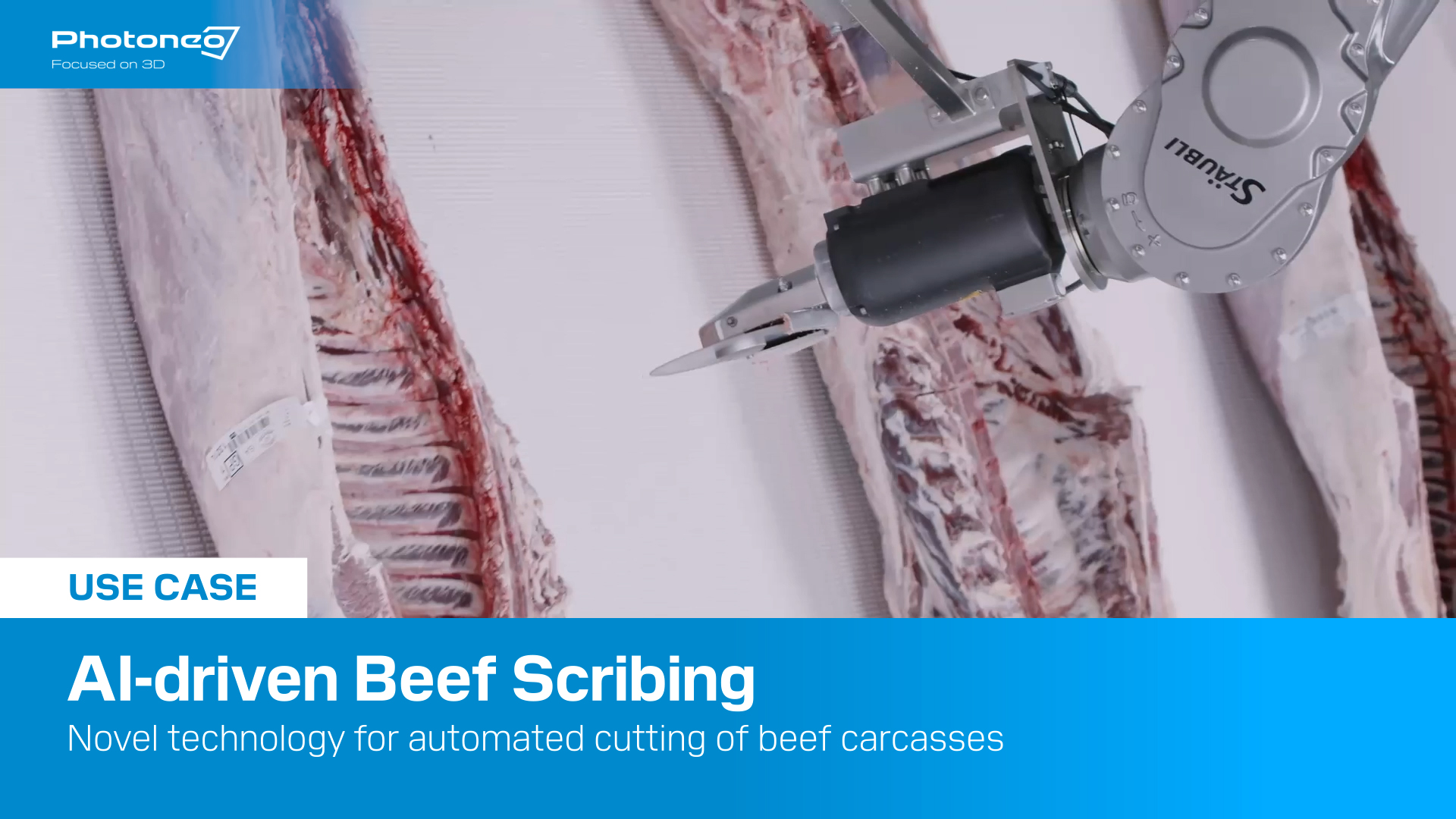 Novel technology for automated beef carcass scribing - Photoneo Focused ...
